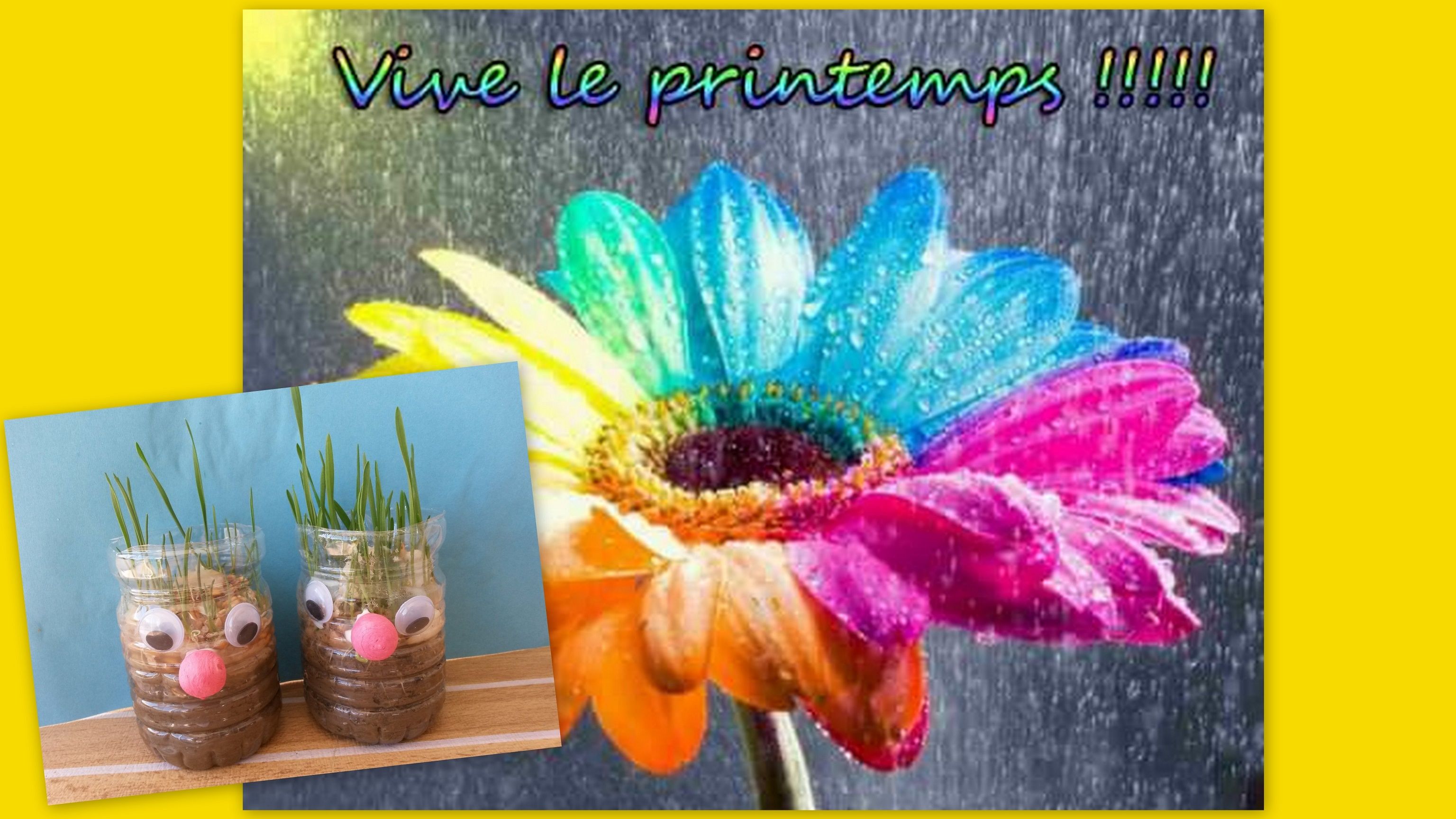 "VIVE LE PRINTEMPS!"